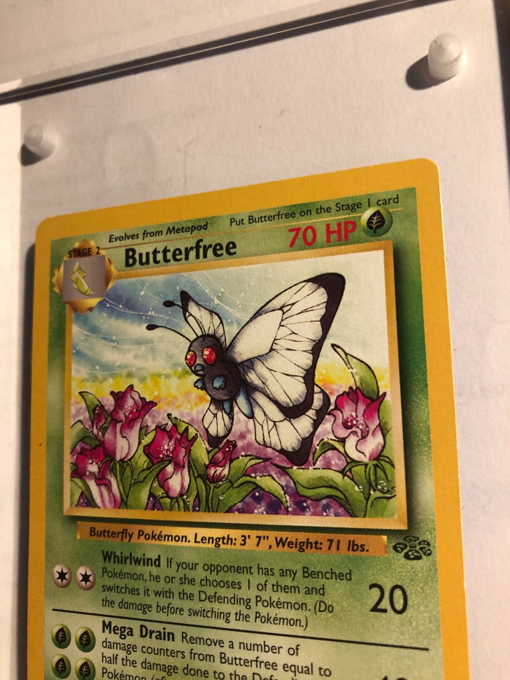 Butterfree (uncommon) Jungle - LP/NM - ab 1.- (Usato) a Giubiasco per ...