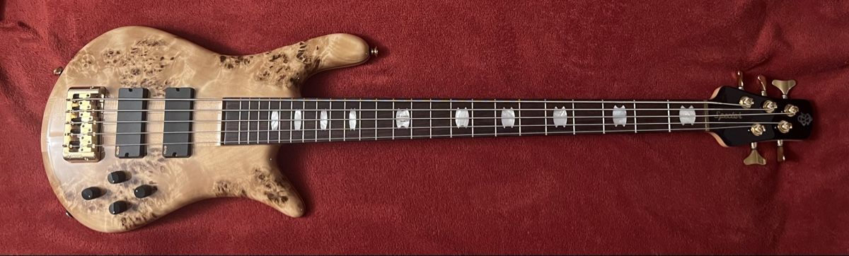 Spector Euro 5 LX Bass Poplar Burl Natural Gloss 5 String (Neu (gemäss ...