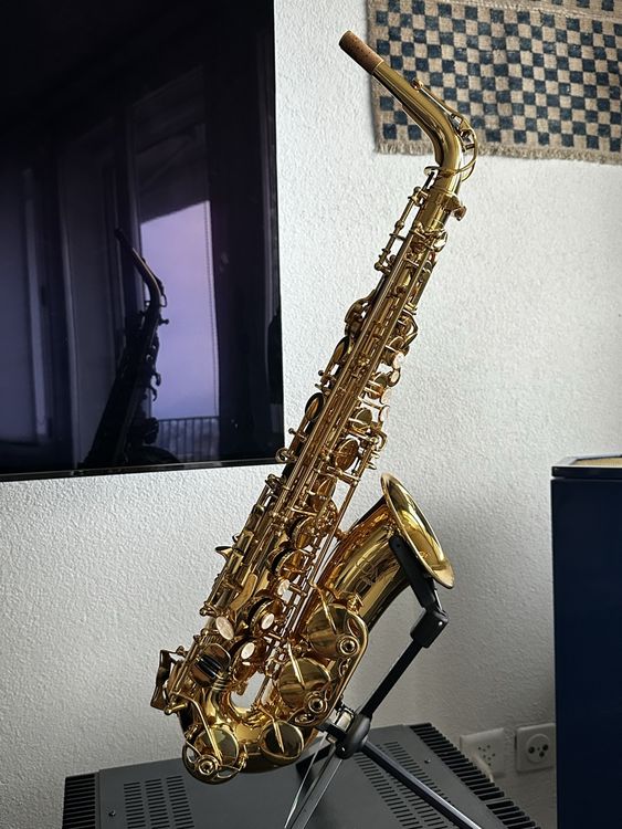 Saxophone alto Conn AS501 (Gebraucht) in Muralto für CHF 385 – mit ...