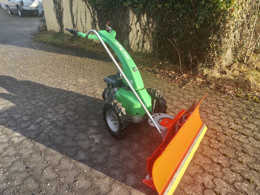 Rapid Mondo plus | Kaufen auf Ricardo