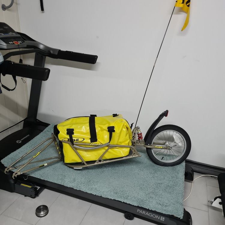 Bob Yak Bob Ibex Veloanhänger (Gebraucht) in Rothrist für CHF 385 – nur ...