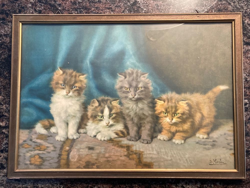 Katzenbild, Merlin 02 | Kaufen auf Ricardo