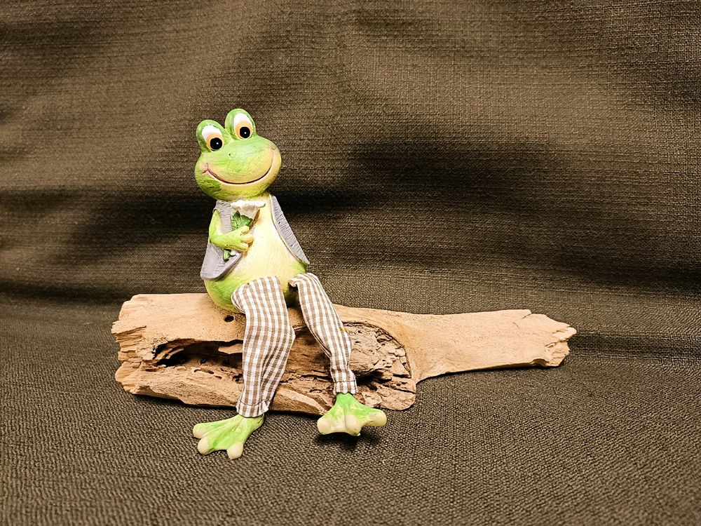 Süsser Deko Frosch auf Ast (Neu und originalverpackt) in Zollikofen für ...