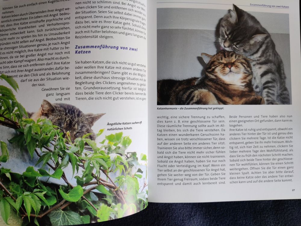 ° Katzen-Tricks mit Clicker / Müller 2014 - D. Winkler (Gebraucht) in ...