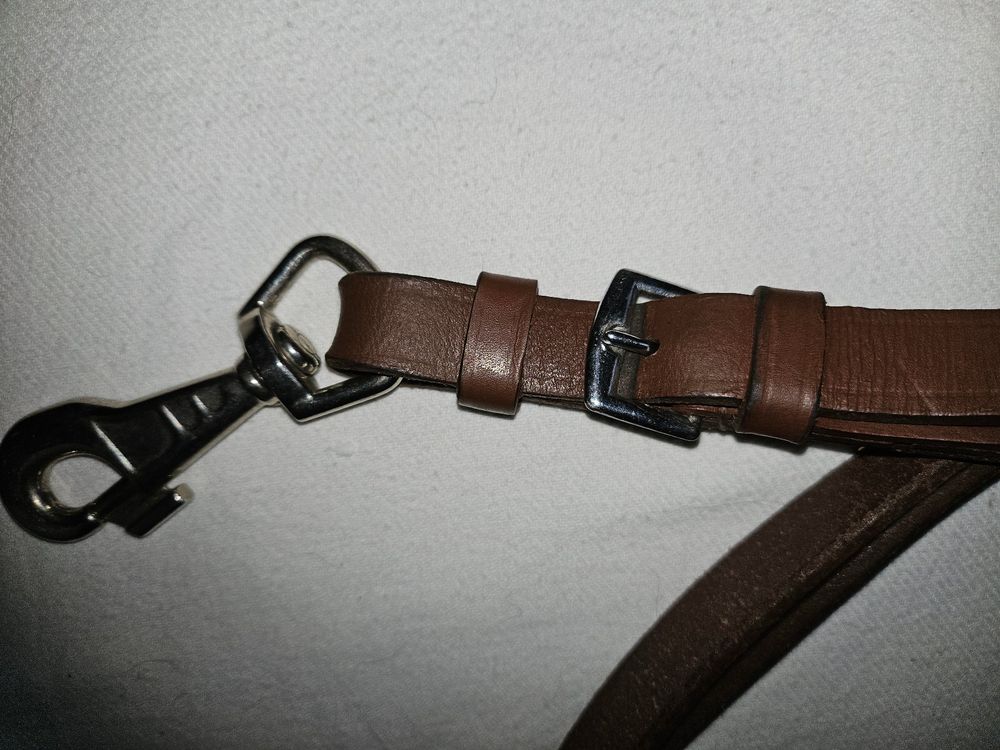 Lederleine (Gebraucht) in Aefligen für CHF 5 – mit Lieferung auf Ricardo kaufen