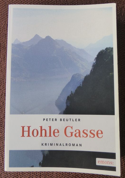 Buch "Hohle Gasse" von Peter Beutler | Kaufen auf Ricardo