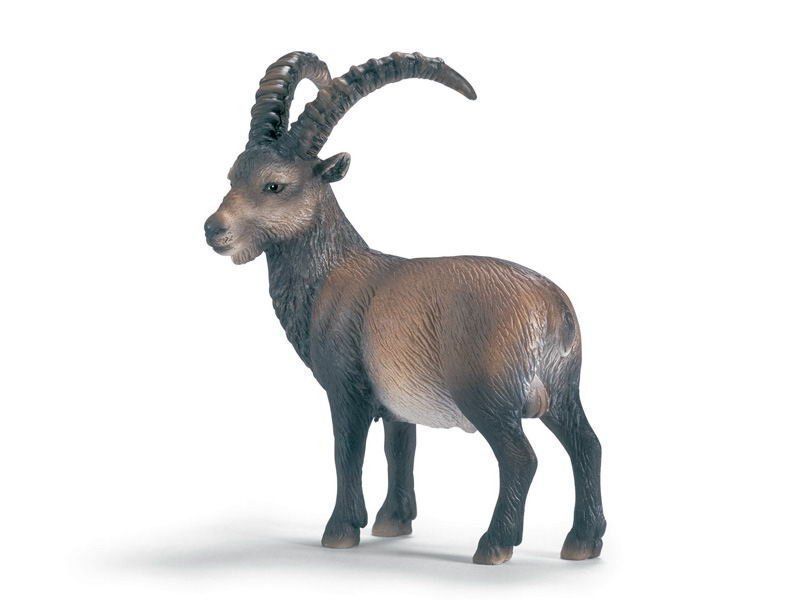 Schleich 14366 Steinbock - Tiere Sammelfiguren - Neu OVP | Kaufen auf ...