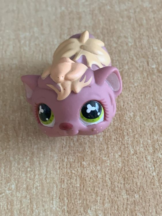 Littlest Pet Shop Meerschweinchen 510 (Gebraucht) in Reinach BL für CHF ...