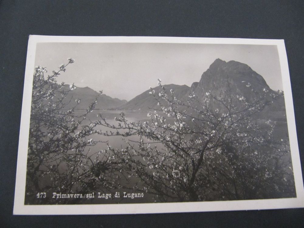 Antike Postkarte Primavera sul Lago di Lugano 1929 (18) | Kaufen auf ...