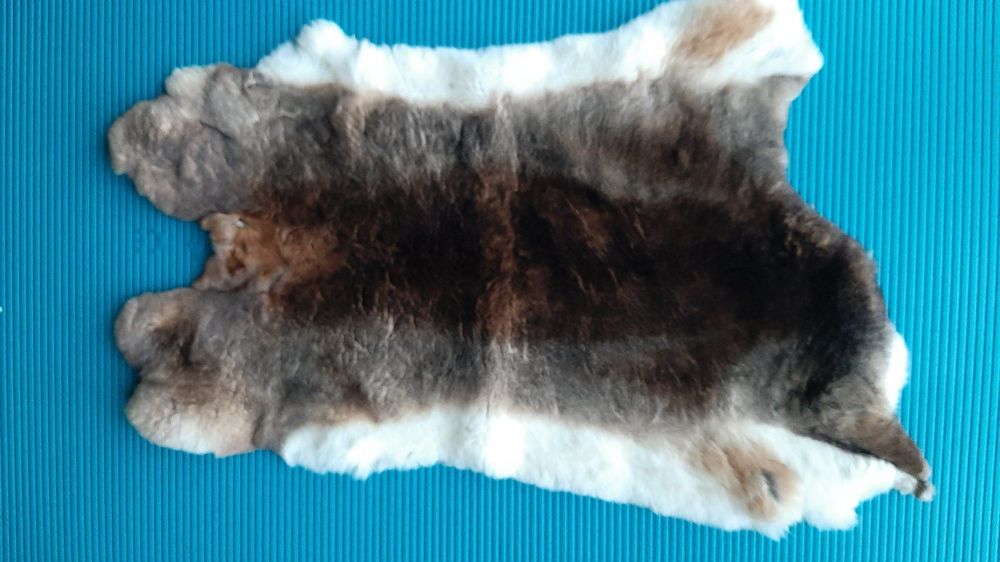 Tier-Fell | Kaufen auf Ricardo