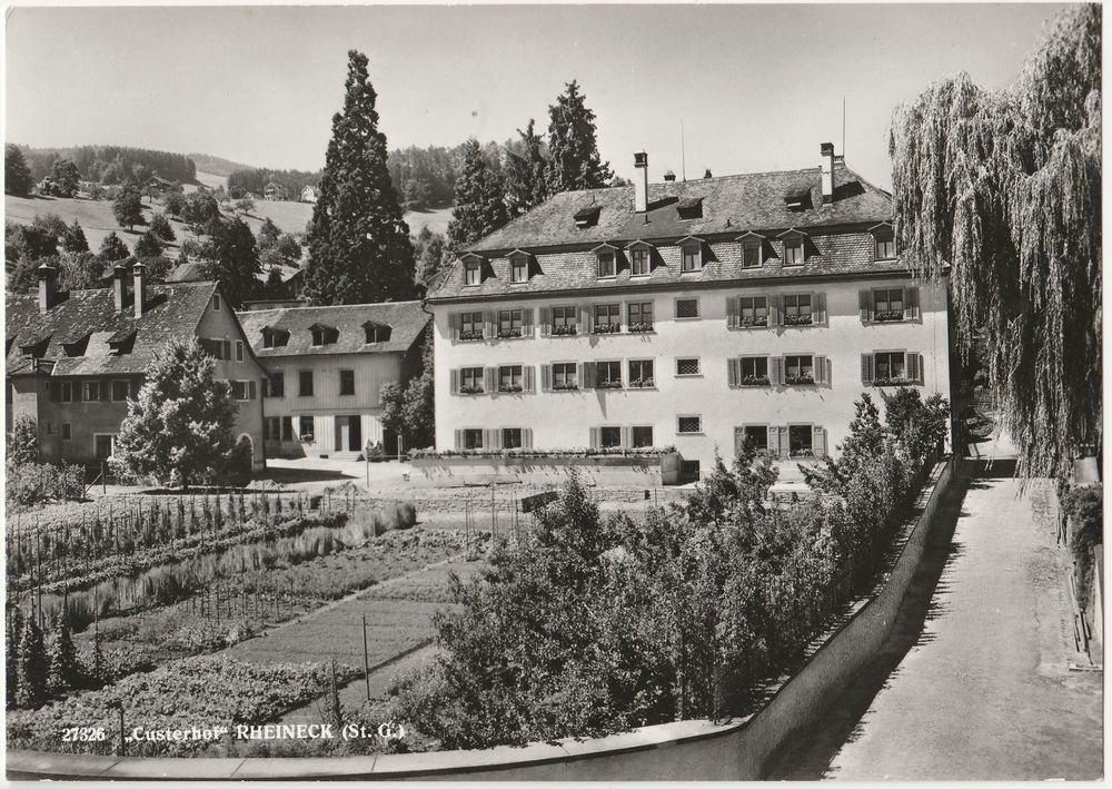 Rheineck - Custerhof | Kaufen auf Ricardo