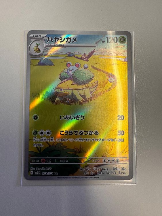 Pokémon Grotle AR 072/071 – Japanisch – Art Rare – Top (Neu (gemäss ...