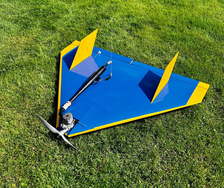 Delta RC - Flugmodell | Kaufen auf Ricardo