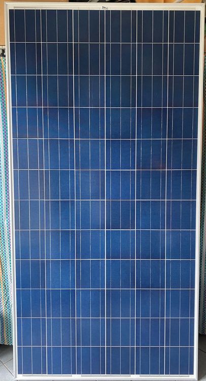 Solar Panel Modul PV - Trina Solar 300W (Neu (gemäss Beschreibung)) in ...
