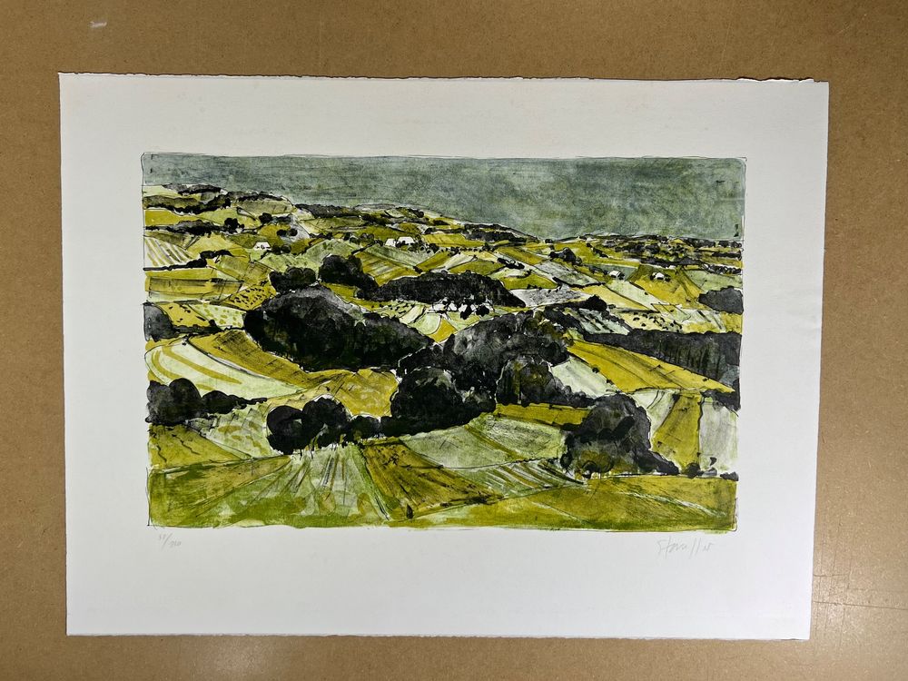 Bodo Stauffer (1942-1993) Lithografie Emmental (Neu (gemäss Beschreibung)) in Vaduz für CHF 60 ...