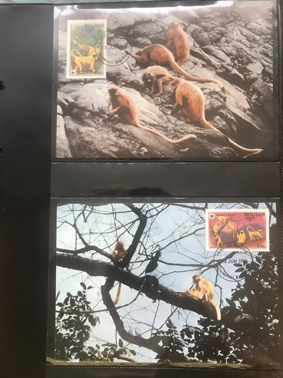 Bhutan 1984 Satz WWF Goldlangur Affen Maximumkarten (Neu (gemäss Beschreibung)) in Liestal für ...