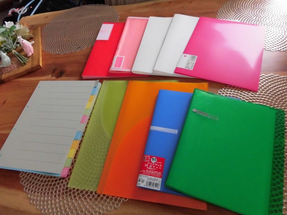 9 Clear file/file holder/Ordner and 4 KartonregisterNew/neu! (Neu ...