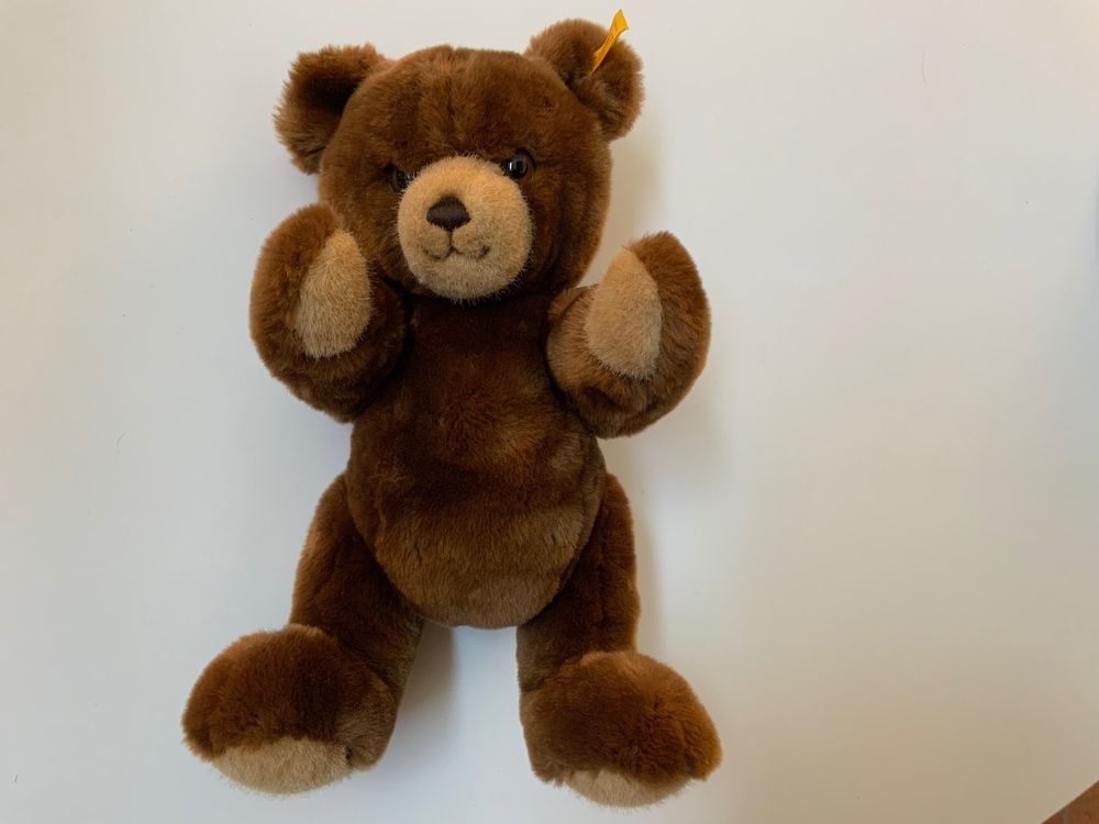 Stoffbär von Steiff (Gebraucht) in Gockhausen für CHF 10 – mit Lieferung auf Ricardo kaufen