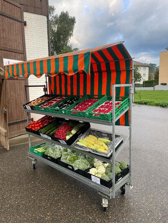 Verkaufsstand (Gebraucht) in Niederglatt ZH für CHF 980 – nur Abholung auf Ricardo kaufen