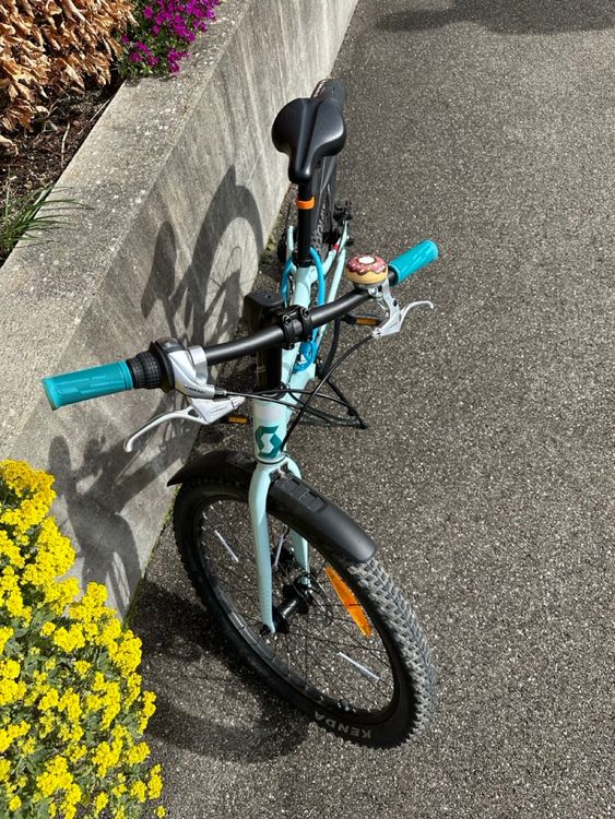 SCOTT CONTESSA 24", Scheibenbremsen, Schutzblech, Ständer | Kaufen auf ...