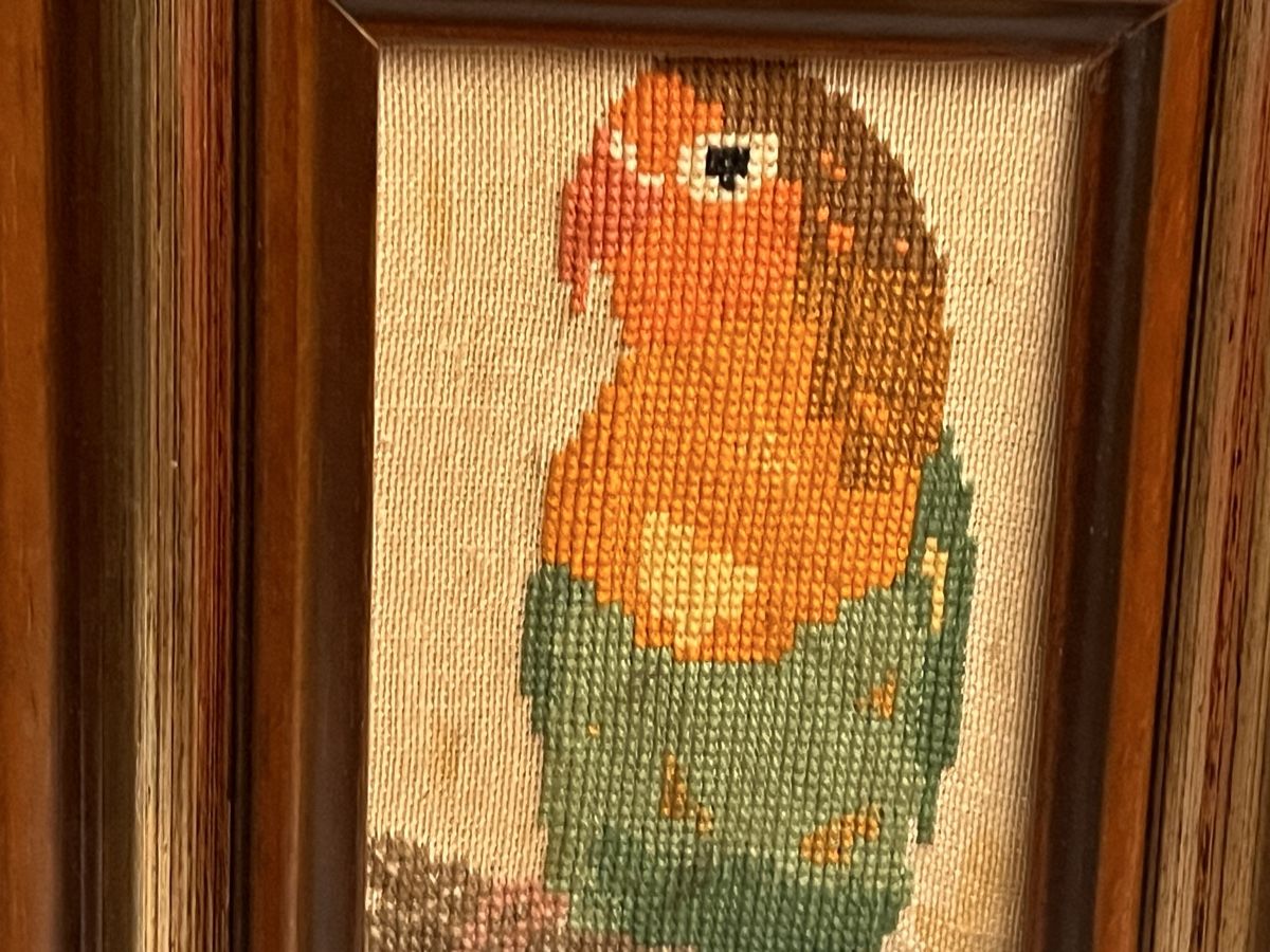 Antikes Stickbild, Papagei, gerahmtes Bild 18x20 cm (57) (Gebraucht) in ...