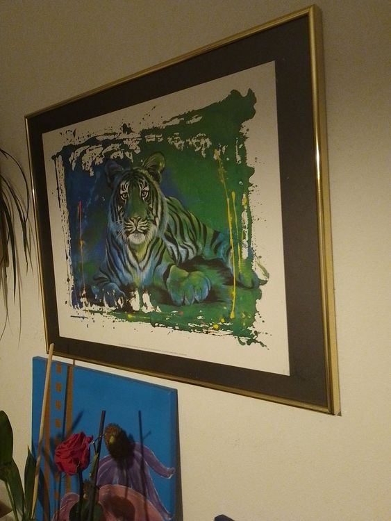 Bild, Rolf Knie, Tiger | Kaufen auf Ricardo