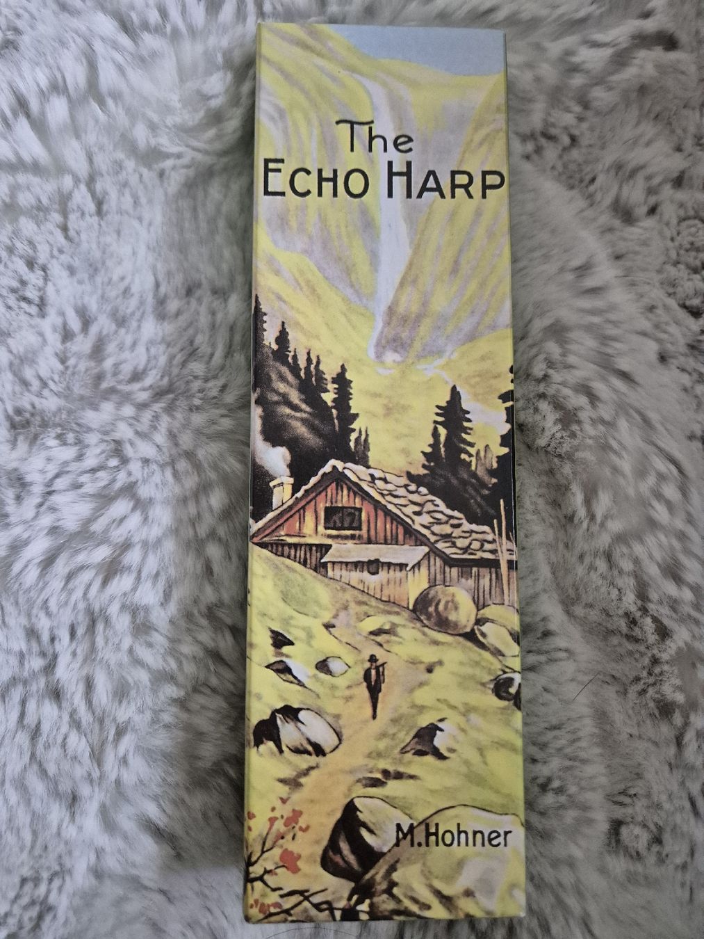 M. Hohner Echo Mundharmonika, Tremolo, Top Zustand! (Gebraucht) in ...