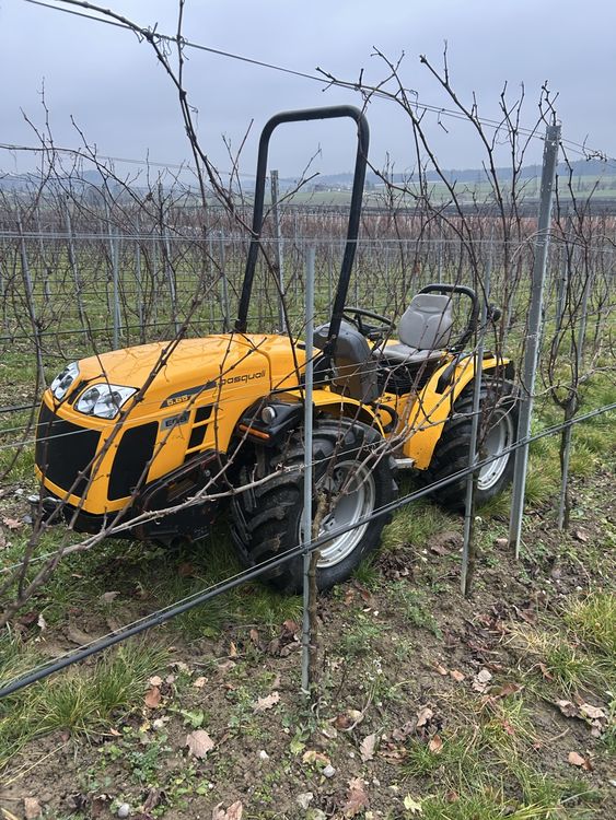 Pasquali Eos 5.65 (Gebraucht) in Rheinau für CHF 13500 – nur Abholung ...