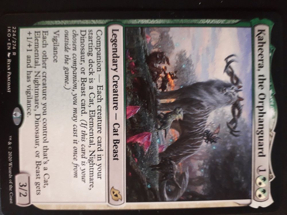 MTG - Kaheera, the Orphanguard (Gebraucht) in Lausanne für CHF 0.5 ...