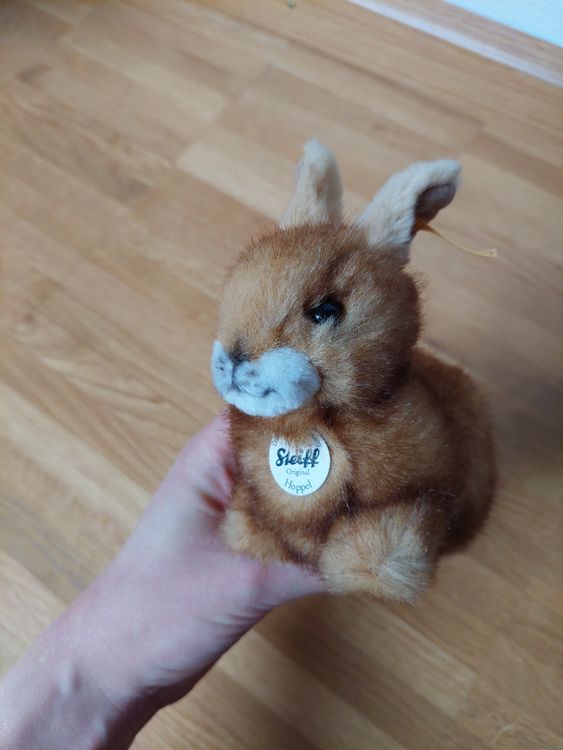 Hase "Hoppel" von Steiff (Neu (gemäss Beschreibung)) in Dornach für CHF 10 – mit Lieferung auf ...