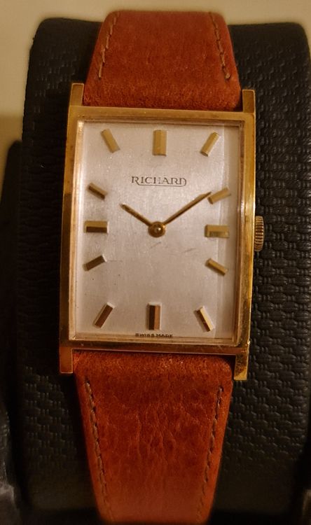 RICHARD WATCH TANK (Gebraucht) in Grand-Lancy für CHF 99 – mit ...
