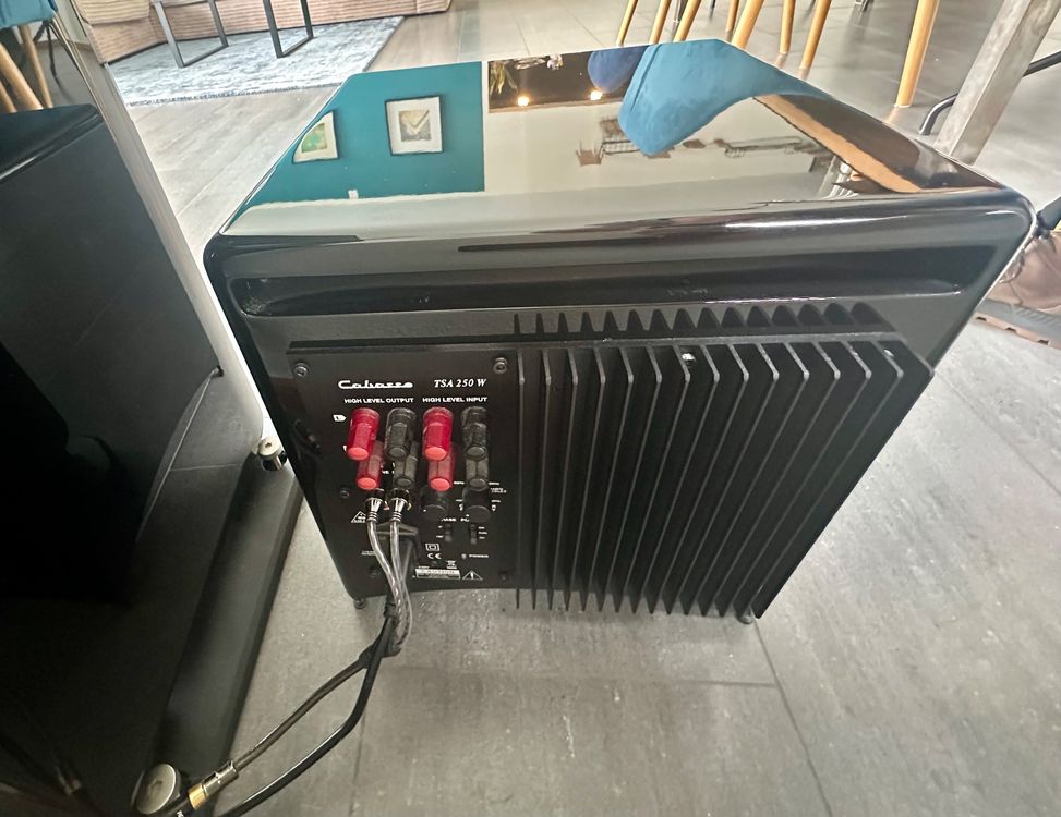 Cabasse Subwoofer Santorin (Neu (gemäss Beschreibung)) in Luzern für ...