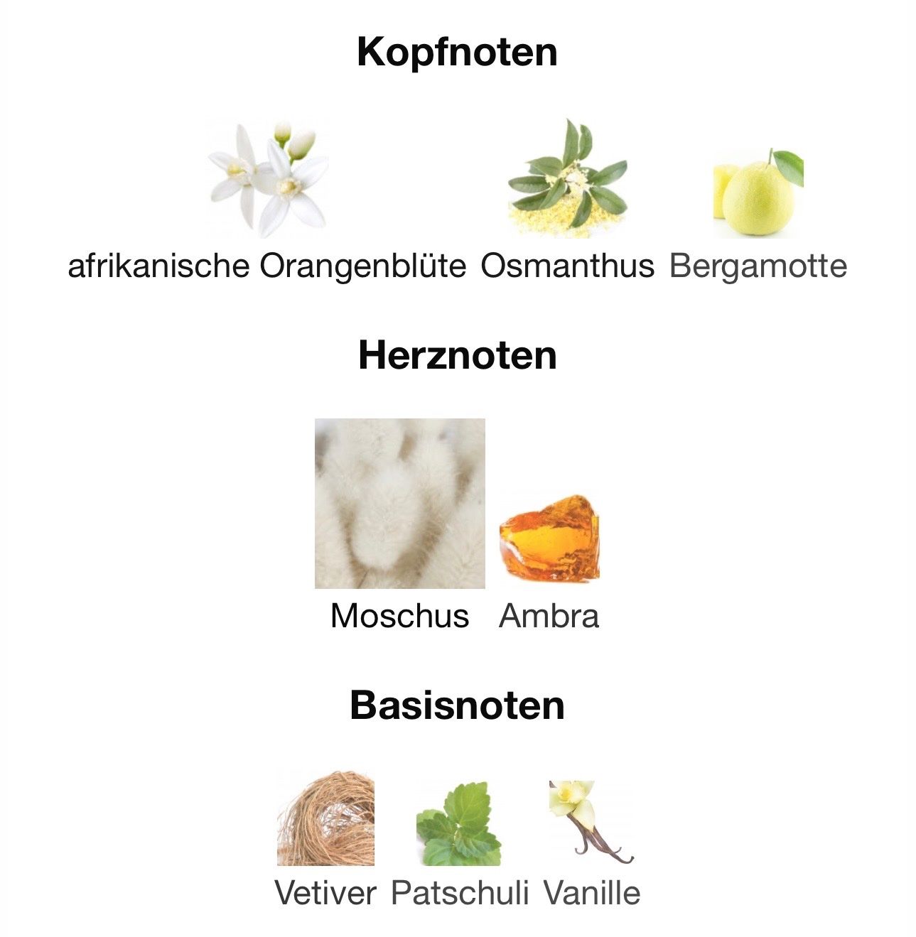 Narciso Rodriguez for Her Eau de Toilette 24 Stück Muster (Neu und ...