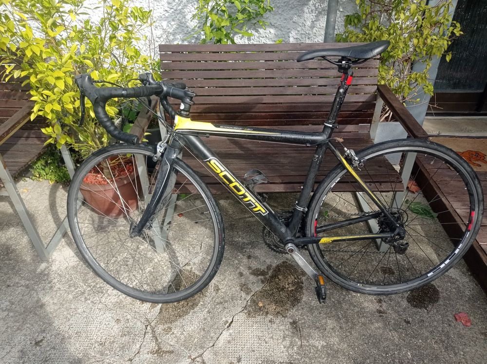 Scott Rennrad Speedster S60 (Gebraucht) in Roggwil BE für CHF 204 – nur ...