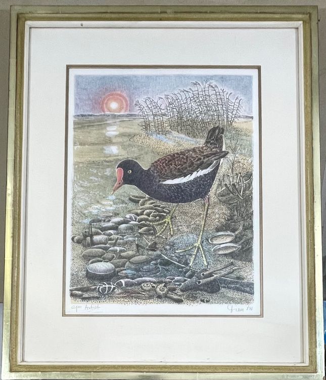 Johannes Diem Kolorierte Lithographie Handsigniert (Gebraucht) in Root ...