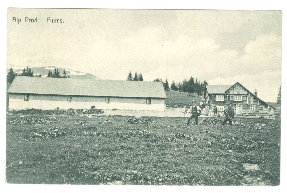 Flums - Alp Prod - 1908 (Gebraucht) in Chur für CHF 51 – mit Lieferung ...