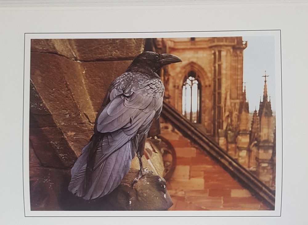 Mit dem Raben H. Huckebein durch die Weltgeschichte (1994) | Kaufen auf ...