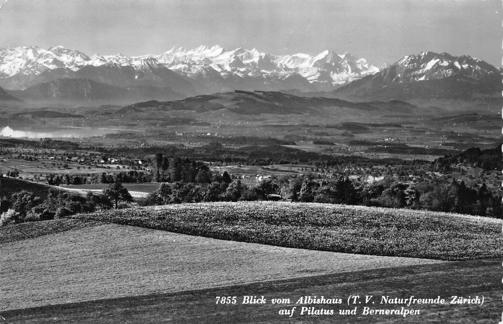 Langnau am Albis, Albishaus (Gebraucht) in Ottikon b.Kemptth. für CHF 1 – mit Lieferung auf ...