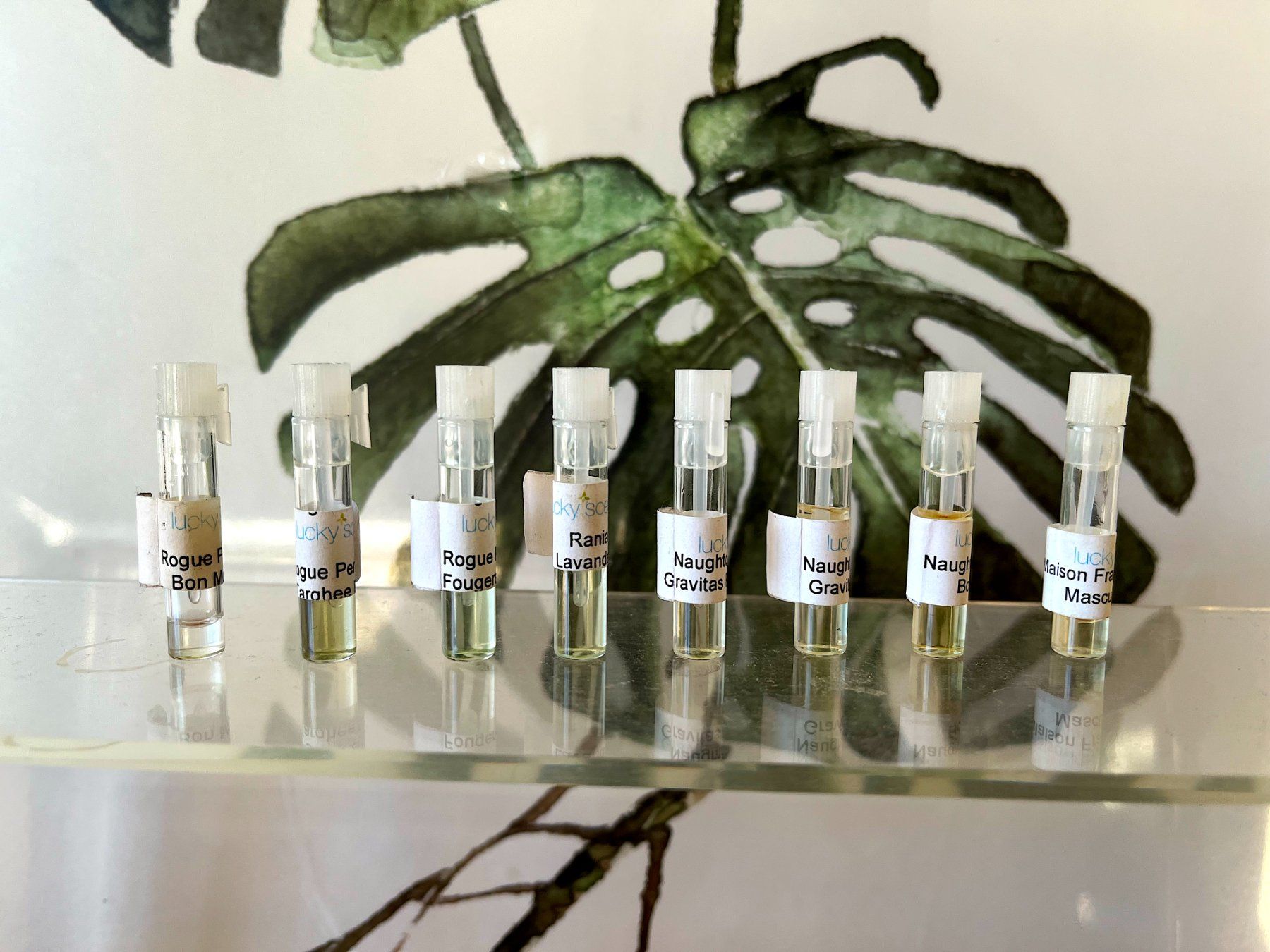 🌟 Parfums Fougères/Aromatiques - Lot de 8 échantillons (Gebraucht) in ...