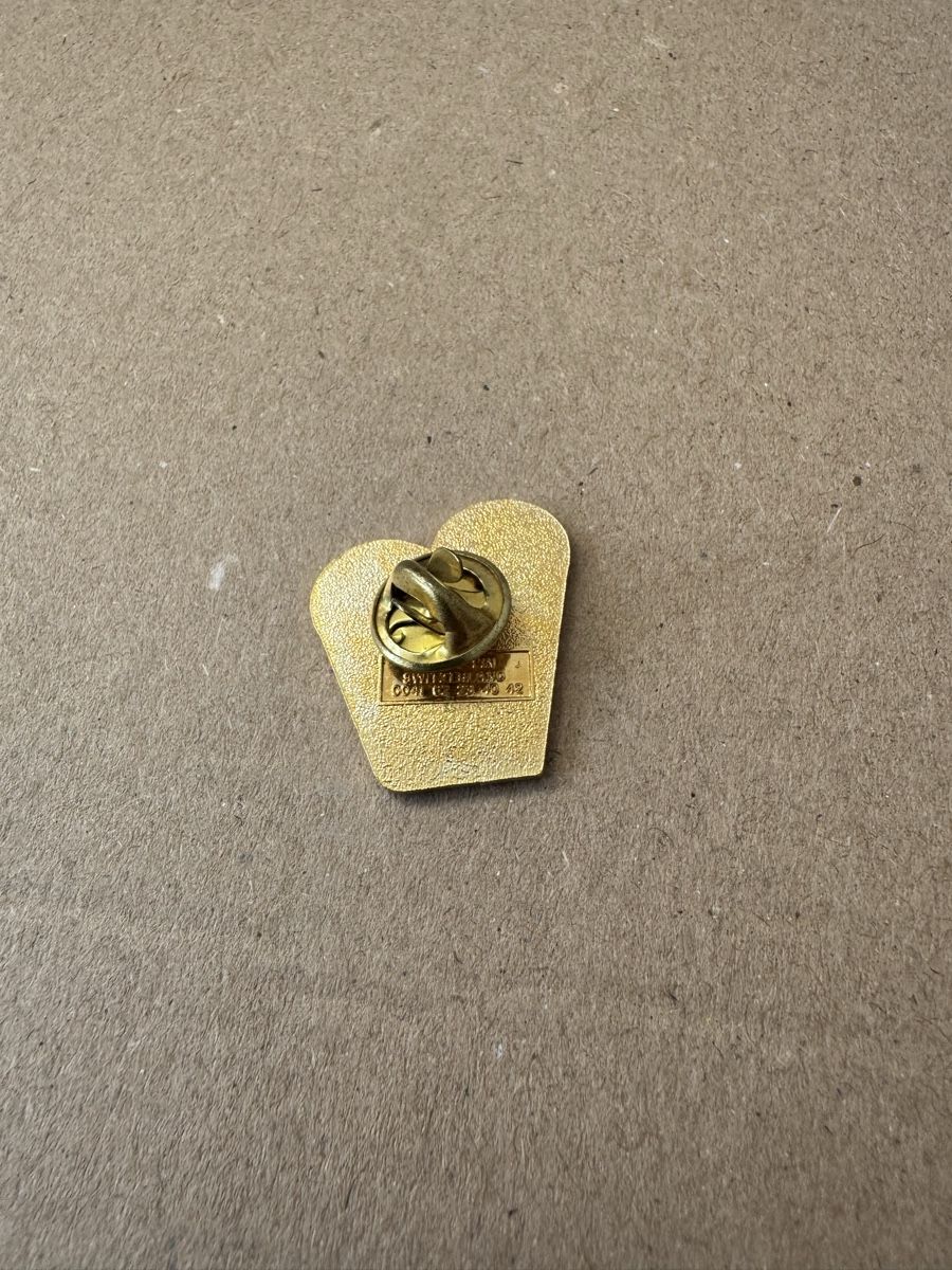 Fc Basel Aufstiegs Pin (Gebraucht) in Lenzburg für CHF 4 – mit ...