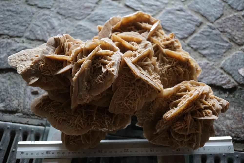 Sandrose XXL 7,1kg TOPSTONE Monats Spezial (Defekt) in Eschenbach SG ...