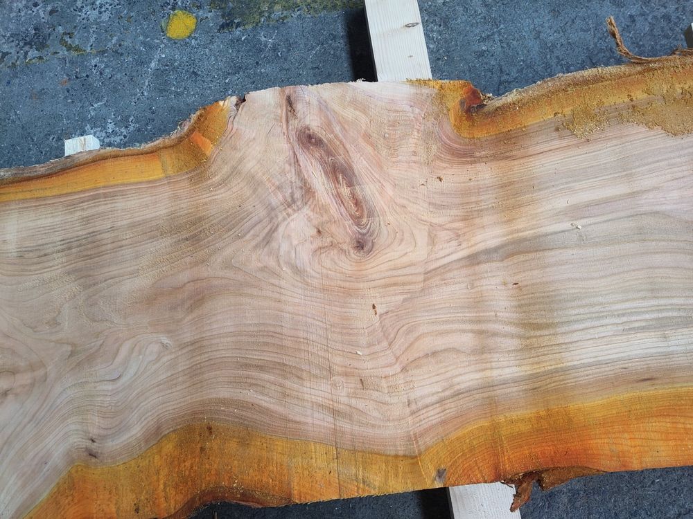 Kirschbaum Bretter | Kaufen auf Ricardo