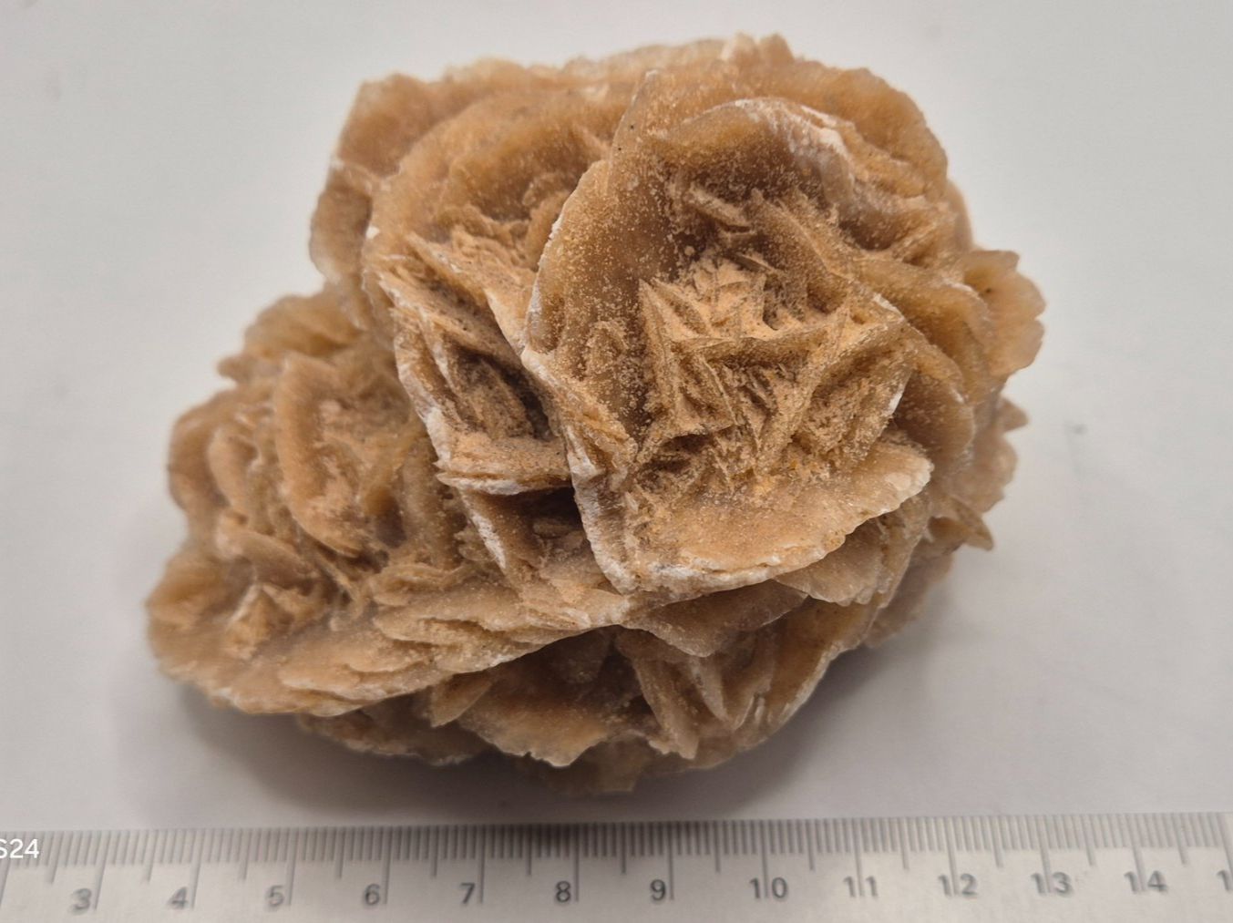 🏜️ Sandrose – ca. 412 g – Tunesien (Neuf avec emballage d'origine) à ...