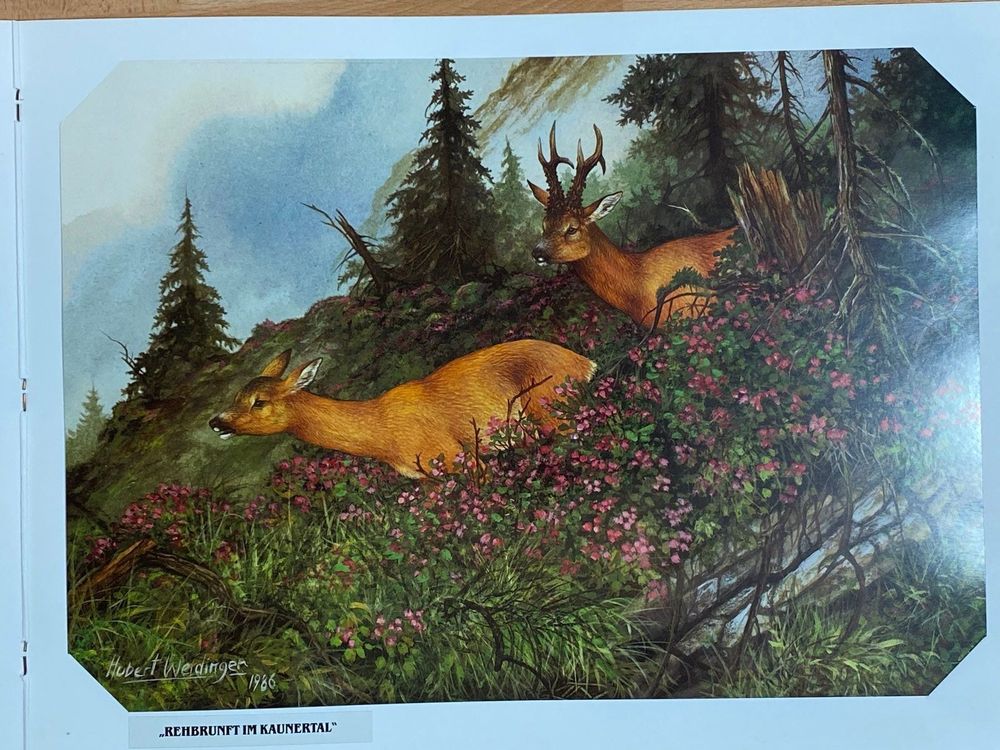 Hubert Weidinger (1951) Mappe mit 12 imposanten Bildern (Gebraucht) in ...