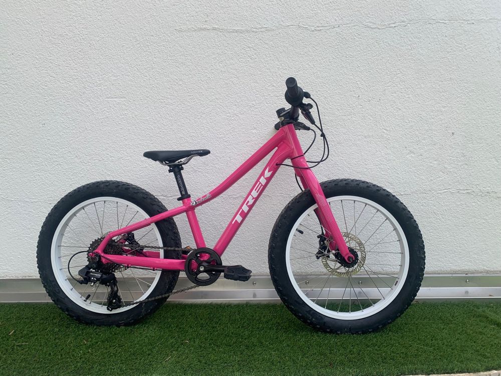 Trek Roscoe 20" Kindervelo Mountainbike | Kaufen auf Ricardo