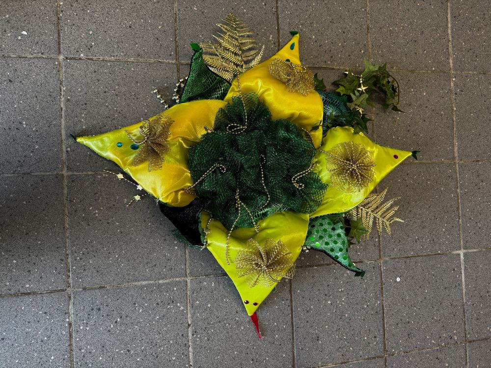 Fasnachtskostüm Motto Wald Efeu (Gebraucht) in Oberbuchsiten für CHF 1 ...