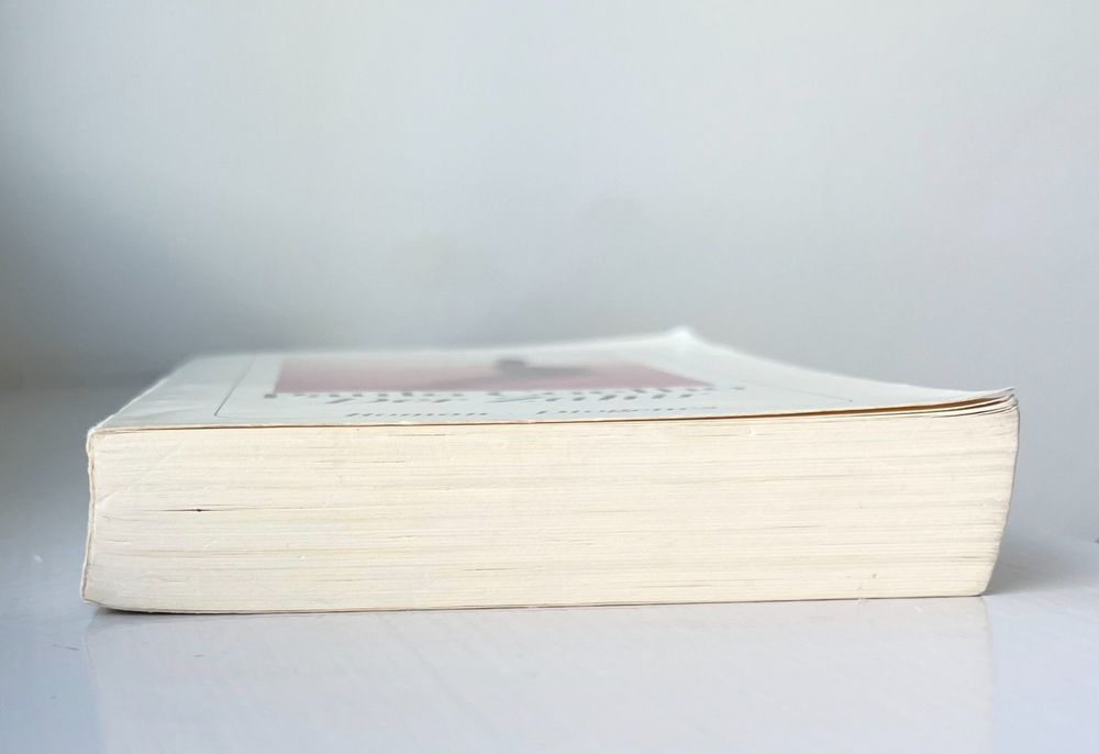 Der Zahir – Paulo Coelho – Roman – Diogenes TB – gut gelesen (Gebraucht ...