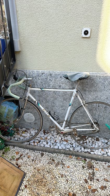 Vintage Cilo Road Bike (Gebraucht) in Zürich für CHF 100 – nur Abholung ...