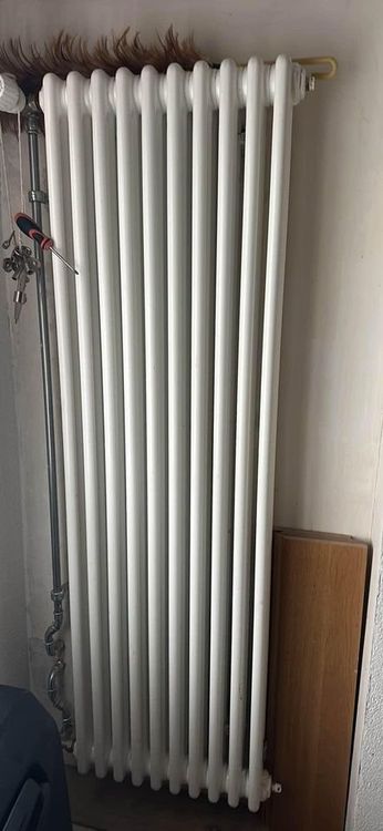 Heizkörper Radiator (Gebraucht) in Allschwil für CHF 190 – nur Abholung auf Ricardo kaufen