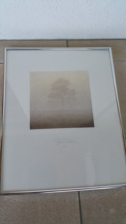 Pastell Gemälde von Künstler Peter R? / signiert (Gebraucht) in Bäretswil für CHF 45 – mit ...